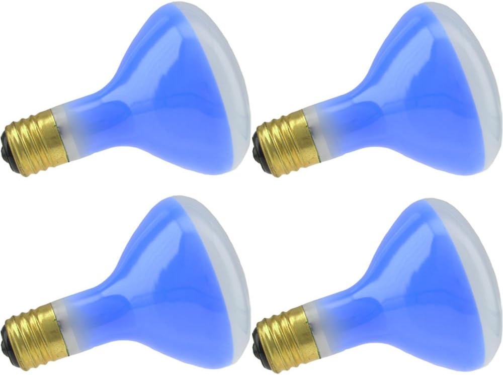 Industrial Performance 100/300/R40-BLUE Neck 120V, 100/200/300 Watt ...