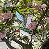 Amazon.com: JIABEI Hummingbird Stained Glass Window Hangings ...