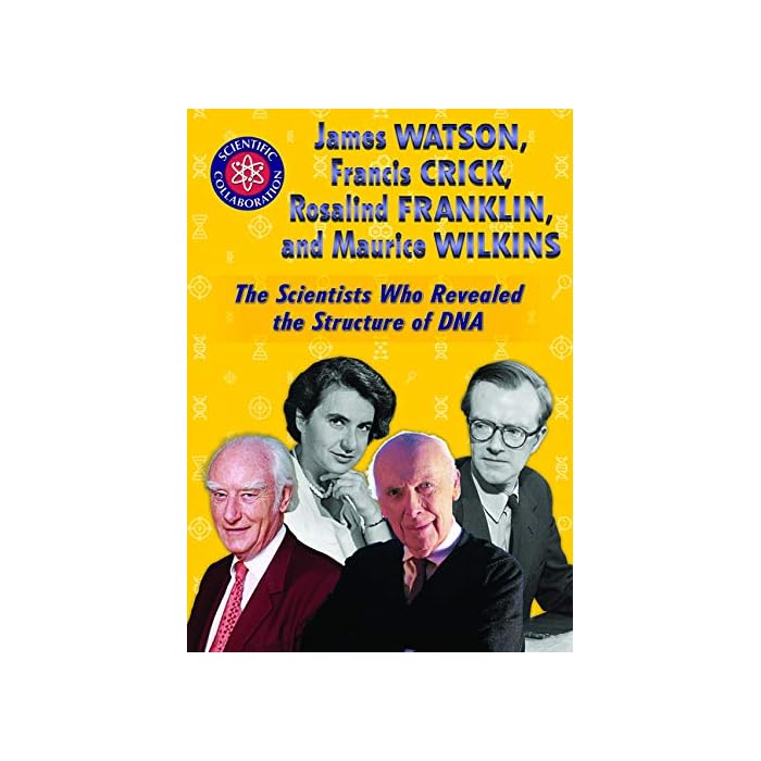 Buy James Watson, Francis Crick, Rosalind Franklin, and Maurice Wilkins ...