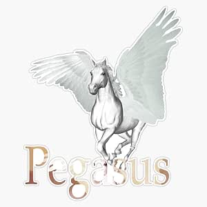 Amazon.com: Magnet Pegasus Vinyl Magnet Bumper Sticker Decal 5 ...