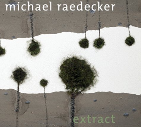 Michael Raedecker: Raedecker, Michael, Ashton, Edwina, Debbaut, Jan ...