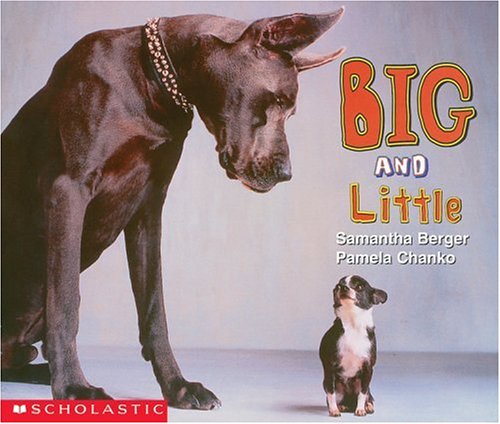 Amazon.com: Big and Little (Learning Center Emergent Readers ...