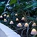 Lights4fun Set of 12 Solar Powered Mini Mushroom Toadstool Outdoor IP44 ...