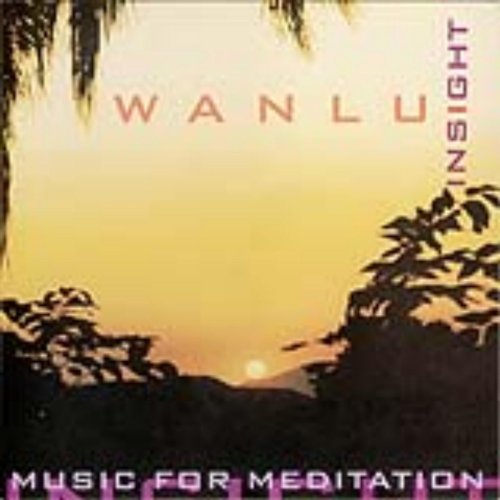 Play Insight by Wanlu on Amazon Music