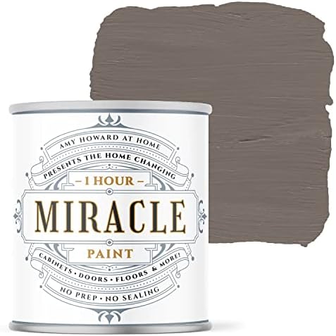 AMY HOWARD AT HOME - One Hour Miracle Water-Based Enamel Paint ...