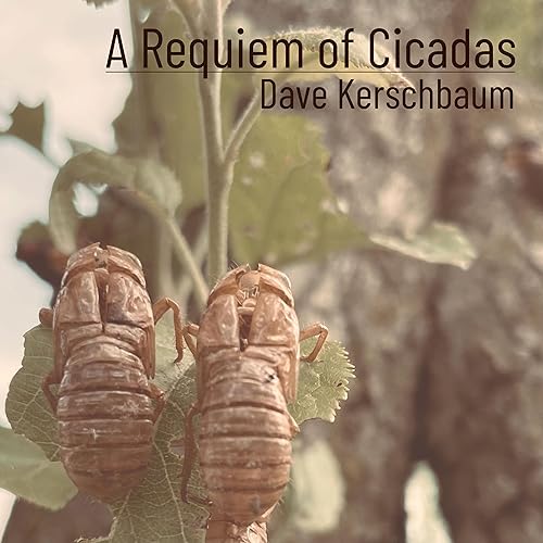 Amazon.co.jp: A Requiem of Cicadas : Dave Kerschbaum: デジタルミュージック