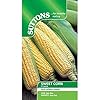 Suttons Sweet Corn Seeds - F1 Swift, Sweetcorn Seeds, Poaceae mays, 35 ...