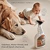 Amazon.com: ForceField Fabric Protector Spray – Long-Lasting, Non-Toxic ...