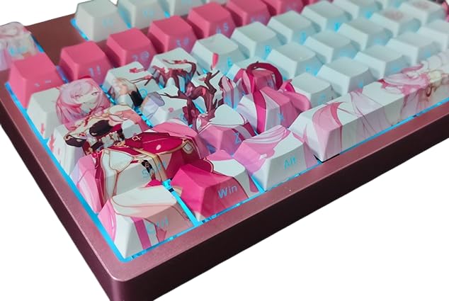 Buy 12 keycap Set, 5-Side Dye-subbed PBT Keycaps, R4 Keycaps, DIY ...