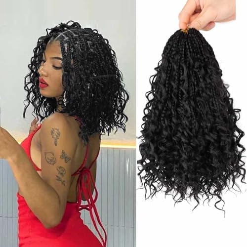 Amazon.com : 8 Packs Crochet Box Braids with Curly Ends Boho Braids 10 ...