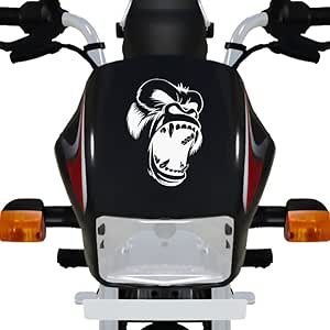 Dikoria King Kong Bike Sticker for Racer Bike, Sports Bike, Scooter ...