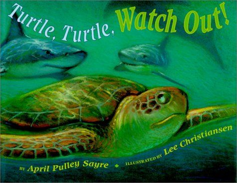 Turtle, Turtle, Watch Out!: Sayre, April Pulley, Christiansen, Lee ...