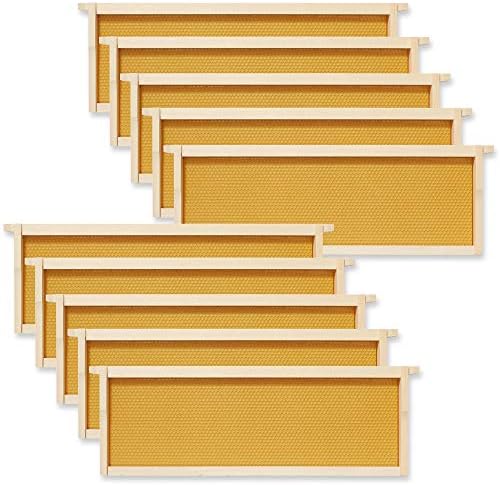 Amazon.com : 10-Frame Beehive Box Langstroth Medium Super Bee Box for ...