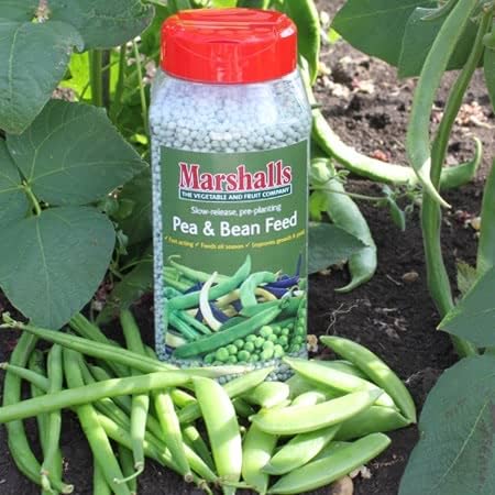 Concentrated Pea & Bean Feed - Pre-planting : Amazon.co.uk: Garden