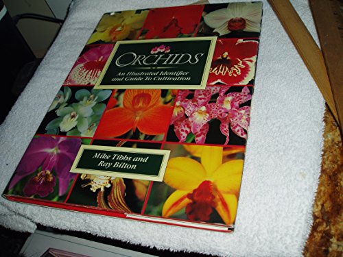 What Is The Scientific Name Of Orchids? A Comprehensive Guide ...