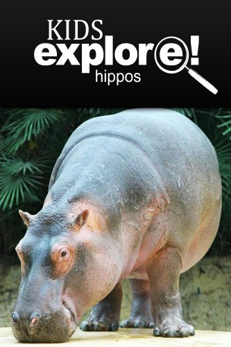 Amazon.com: Hippos - Kids Explore: Animal books nonfiction - books ages ...