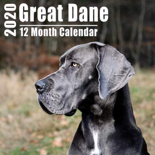Great Dane Small Calendar 2020: Cute Great Dane Photos Mini Monthly ...