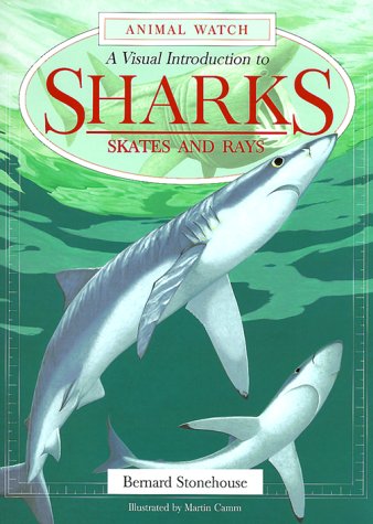 A Visual Introduction to Sharks: Skates and Rays (Animal Watch ...