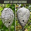 Amazon.com : Wasp Out™ Fake Hornet's Nest Decoy Wasp Deterrent Outdoor ...