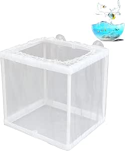 Amazon.com : Fish Breeder Box, 1mm reliaable Isolation Box Breeder ...