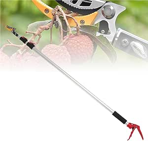 Tree Pruner,Tree loppers Long Reach Telescopic, Fruit Picker with ...