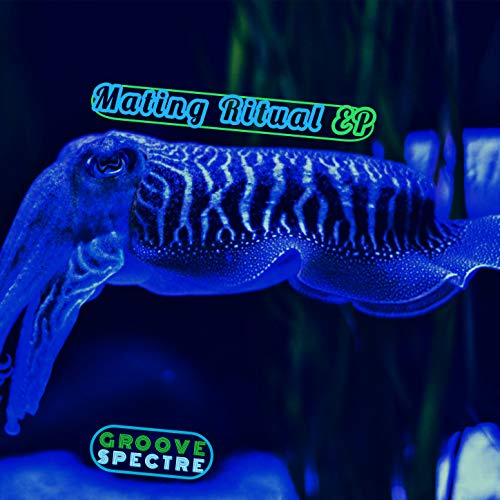 Amazon.co.jp: Mating Ritual : Groove Spectre: デジタルミュージック