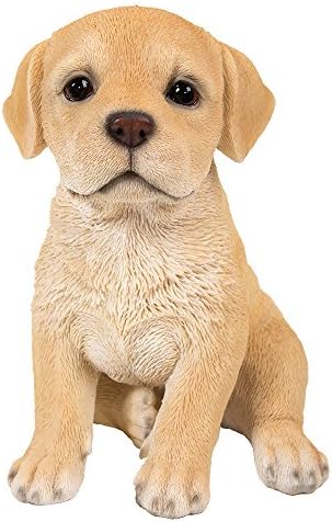 Amazon.com: Pacific Giftware Adorable Seated Yellow Labrador Puppy ...