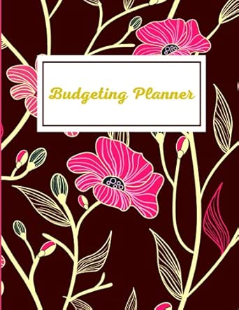 Budgeting Planner: Efficient Monthly & Daily Budget Planner Notebook ...