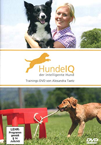Intelligente Hunde – Die 15 besten Produkte im Vergleich ...