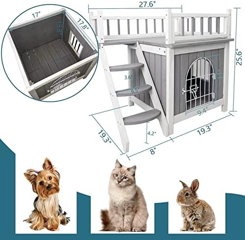 How Can I Get My Dog And Cat To Be In The Same House