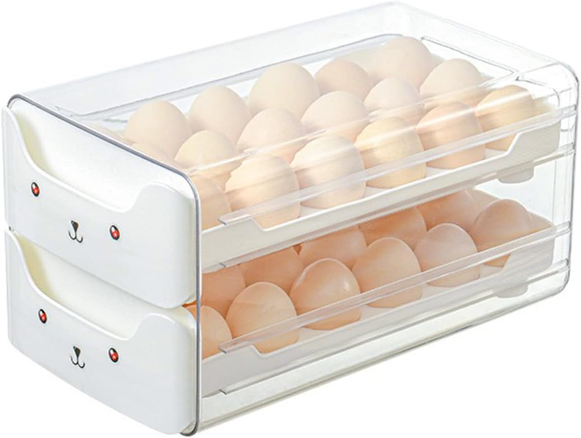 Amazon.com: SimpleKitchen Egg Drawer for Refrigerator, Double Layer Egg ...