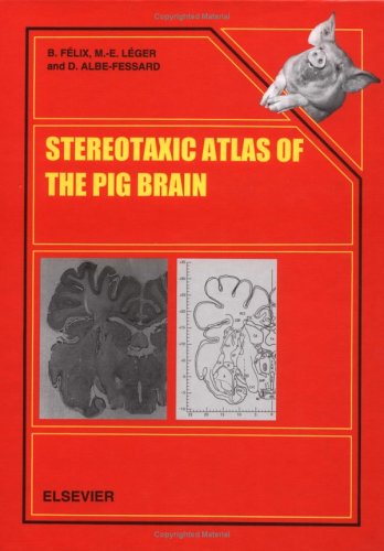 Amazon | Stereotaxic Atlas of the Pig Brain | Albe-Fessard, D., Félix ...