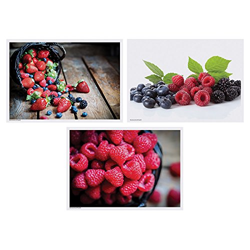 Amazon.com: Hoffmaster 702083 Berry Delight Multipack Placemats, 3 ...