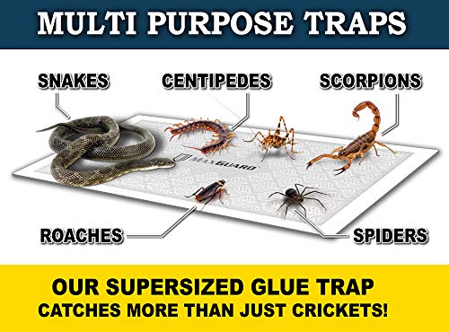 MaxGuard Extra Large Cricket Traps (8 Traps) | Non-Toxic Extra Sticky ...