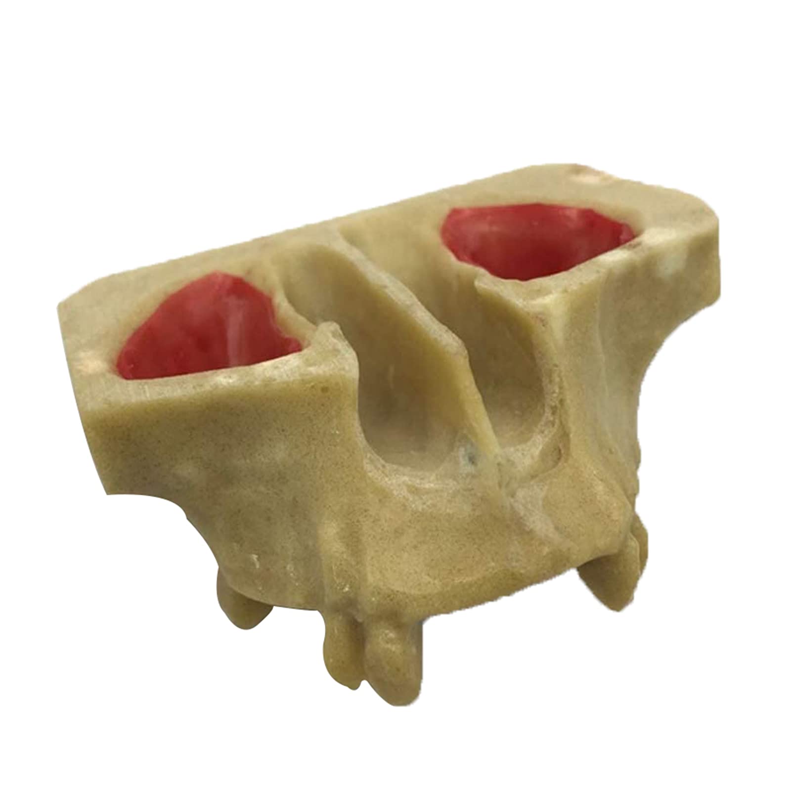 Buy Maxillary Teeth Model, Upper Jaw Sinus Lift Im, Dental Model ...