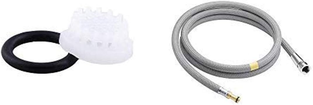 Moen 141025 Replacement Part O-Ring Kit AND Moen Replacement Hose Kit ...