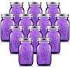 Amazon.com: Tessco for you 12 Pcs Bulk Purple Mason Jars with Lids 16 ...