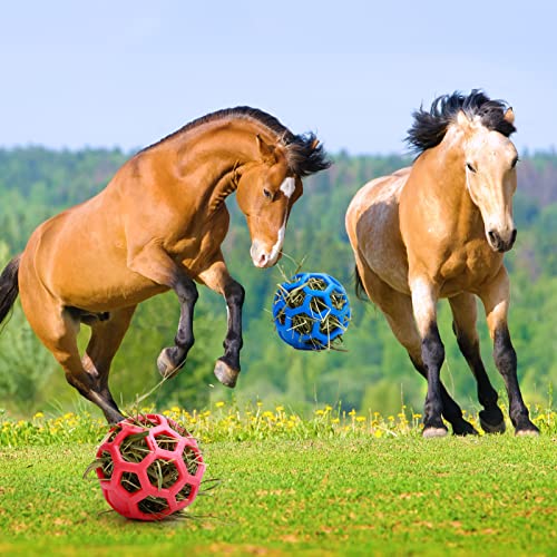 The 30 Best Rubber Horse Toy Balls of 2025 [Verified] - Cherry Picks
