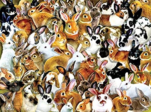 Animal Puzzles