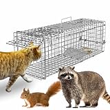 The 5 Best Possum Traps Of 2025 - Humane & Effective Solutions