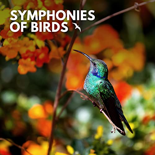 Play Symphonies of Birds by Organic Sound, Nature Sounds Artists ...