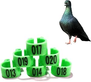 Amazon.co.jp: Colorful Pigeon Paw Identification Ring, Digitally Coded ...