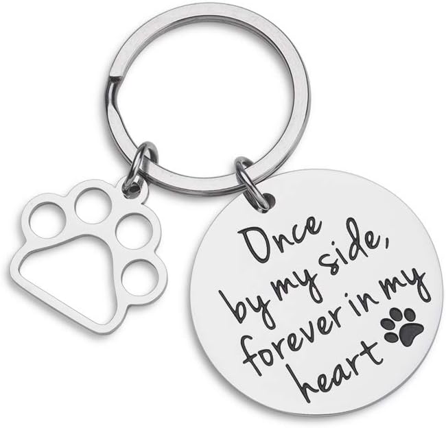 Amazon.com: VANLOVEMAC Loss of Pet Memorial Keychain Dog Cat ...