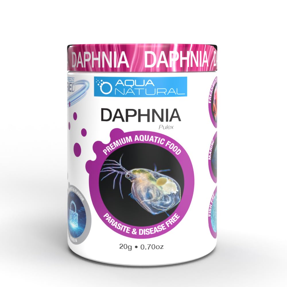 Amazon.com: Aqua Natural Freeze Dried Daphnia 0.70oz Fish Food : Pet ...