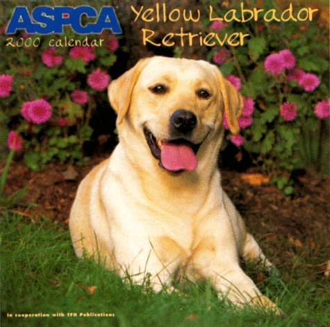 Yellow Labrador Retriever 2000 Calendar | Amazon.com.br