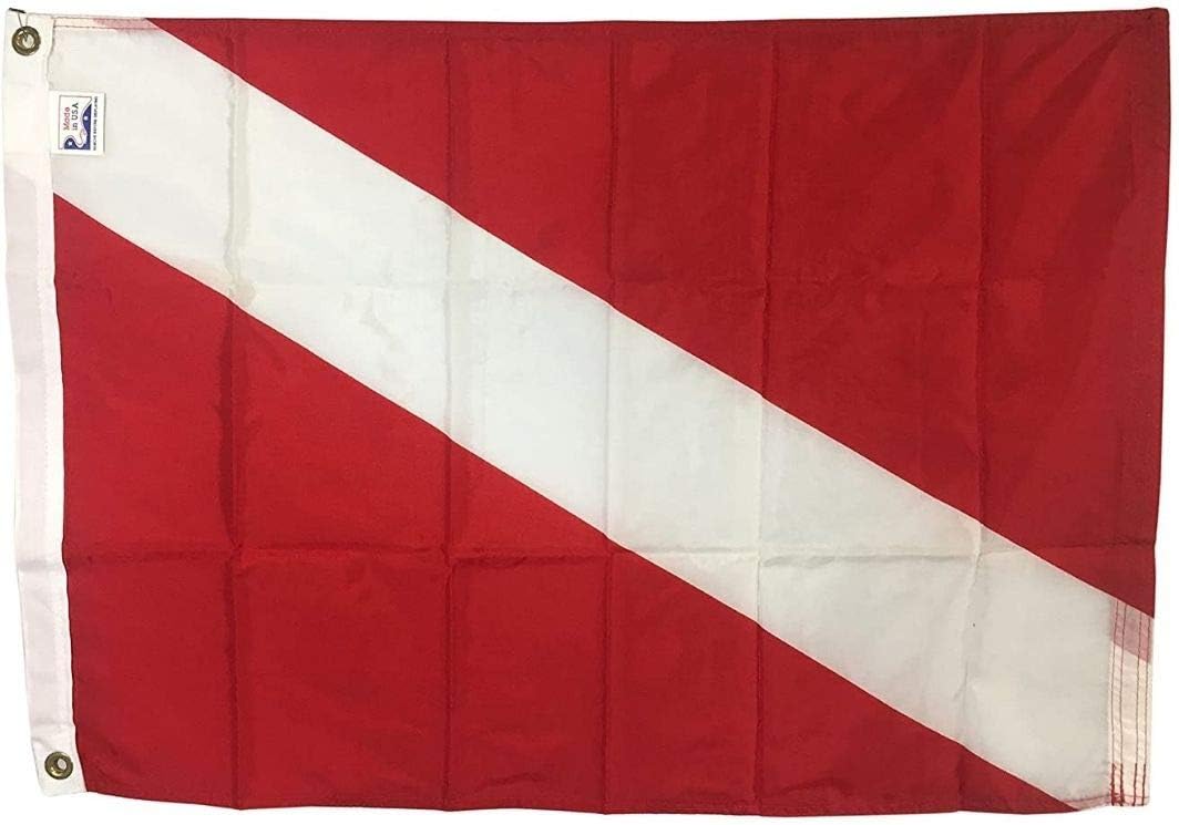 Amazon.com : New 2x3 PADI Flag Scuba Dive Diving Diver Down Flags ...
