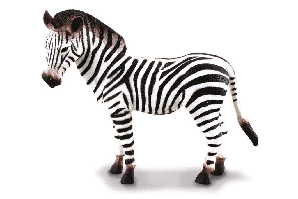 CollectA Common Zebra Figure : Amazon.in: Toys & Games