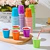 Amazon.com: Lilymicky 300 Count 2 oz Plastic Shot Glasses, Mini ...
