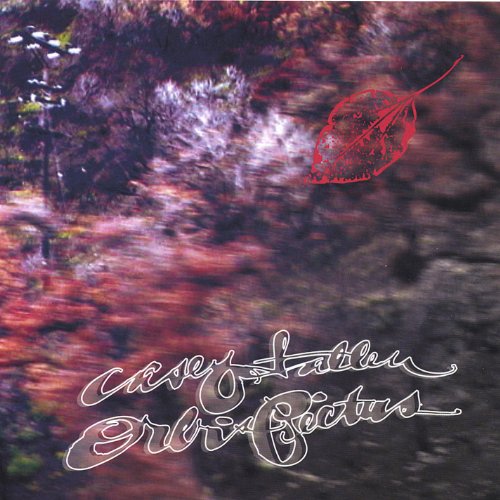 Amazon.com: Orbis Pictus : Casey Fallen: Digital Music