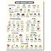 Amazon.com: Vegan Health Foods Chart Fridge Magnet | Nutritional Guide ...